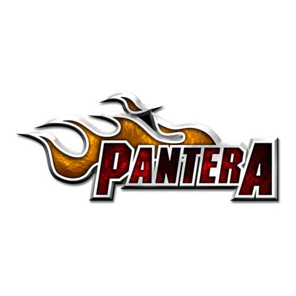 Pantera - Flame Logo Pin - Multicolours | Attitude Europe