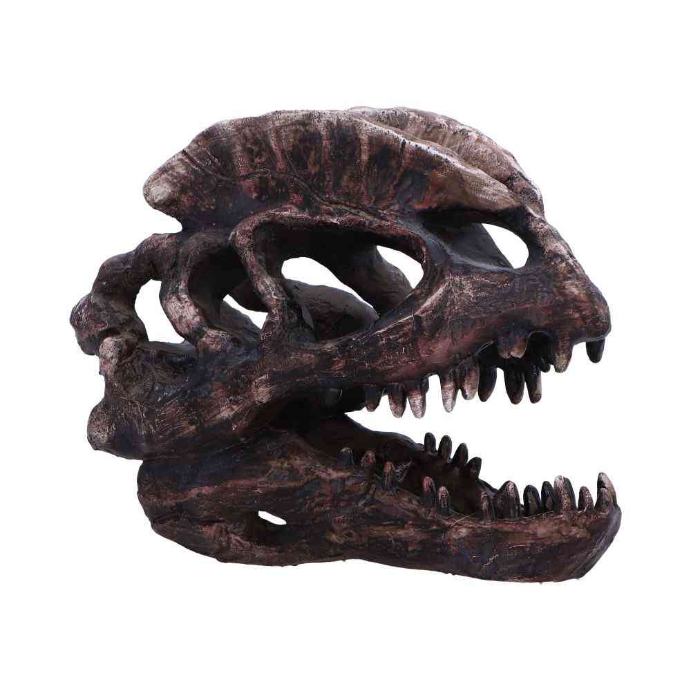 Nemesis Now Nemesis Now - Dilophosaurus Skull 16cm Figurine - Multicolo